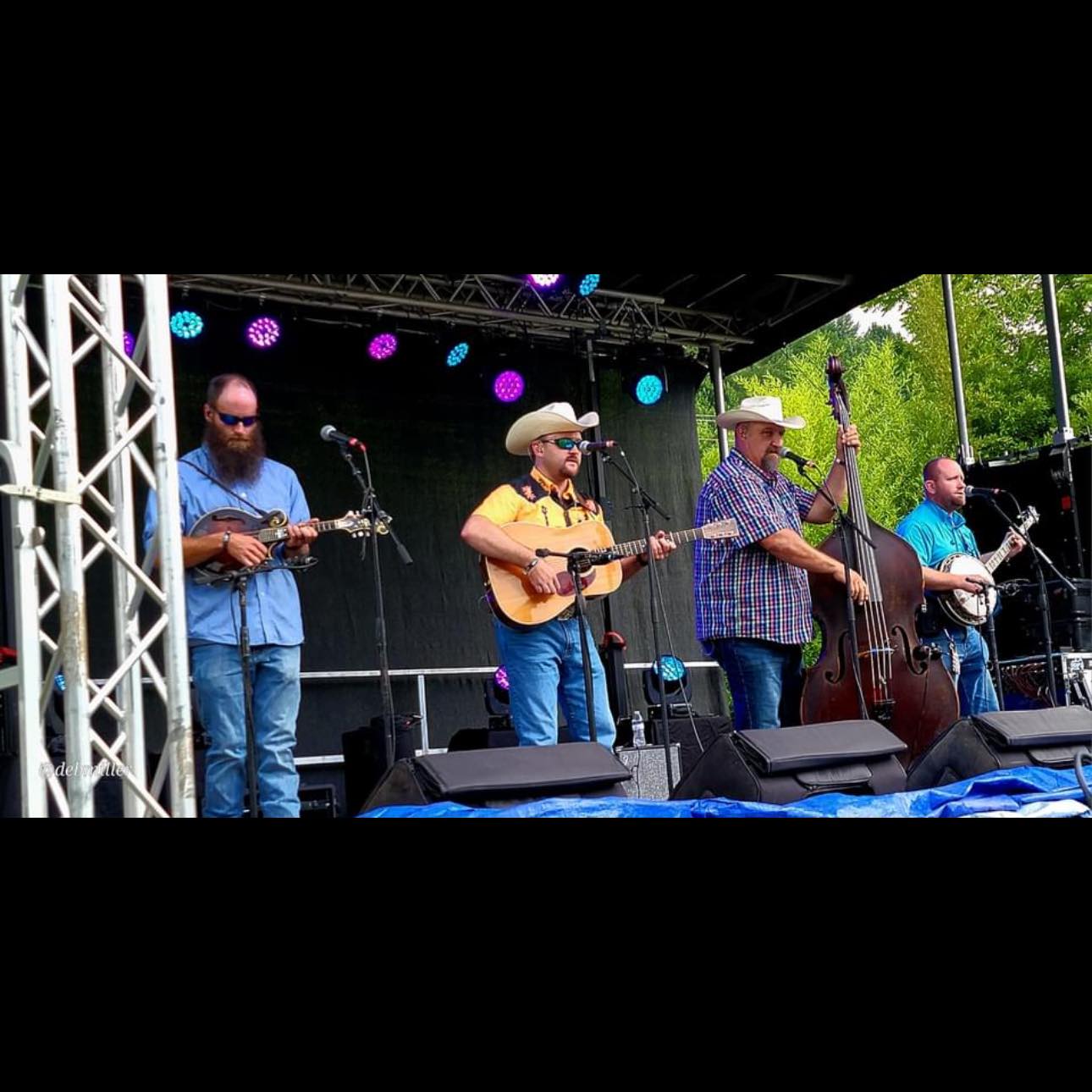 Surefire | Carter Family Fold and Music Center